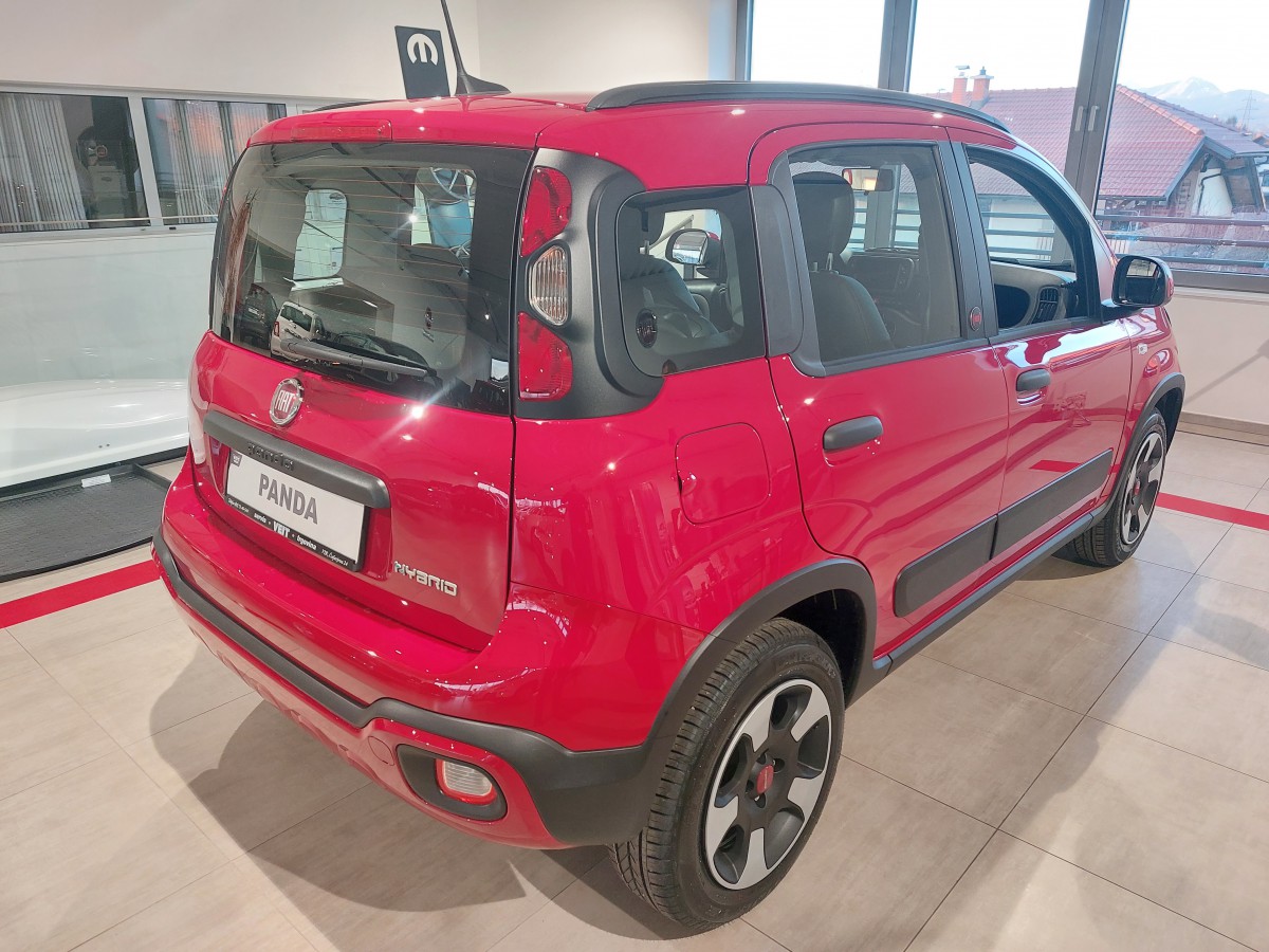 Fiat 500 (RED) in Fiat Panda (RED): Avtomobila z rdečo nitjo ...