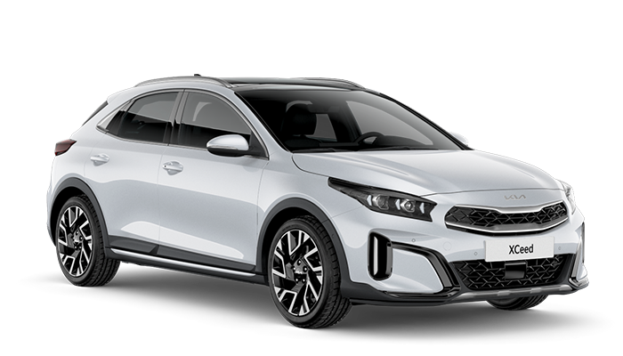 Kia Sportage. Pisan. Vam na kožo - Veit Team